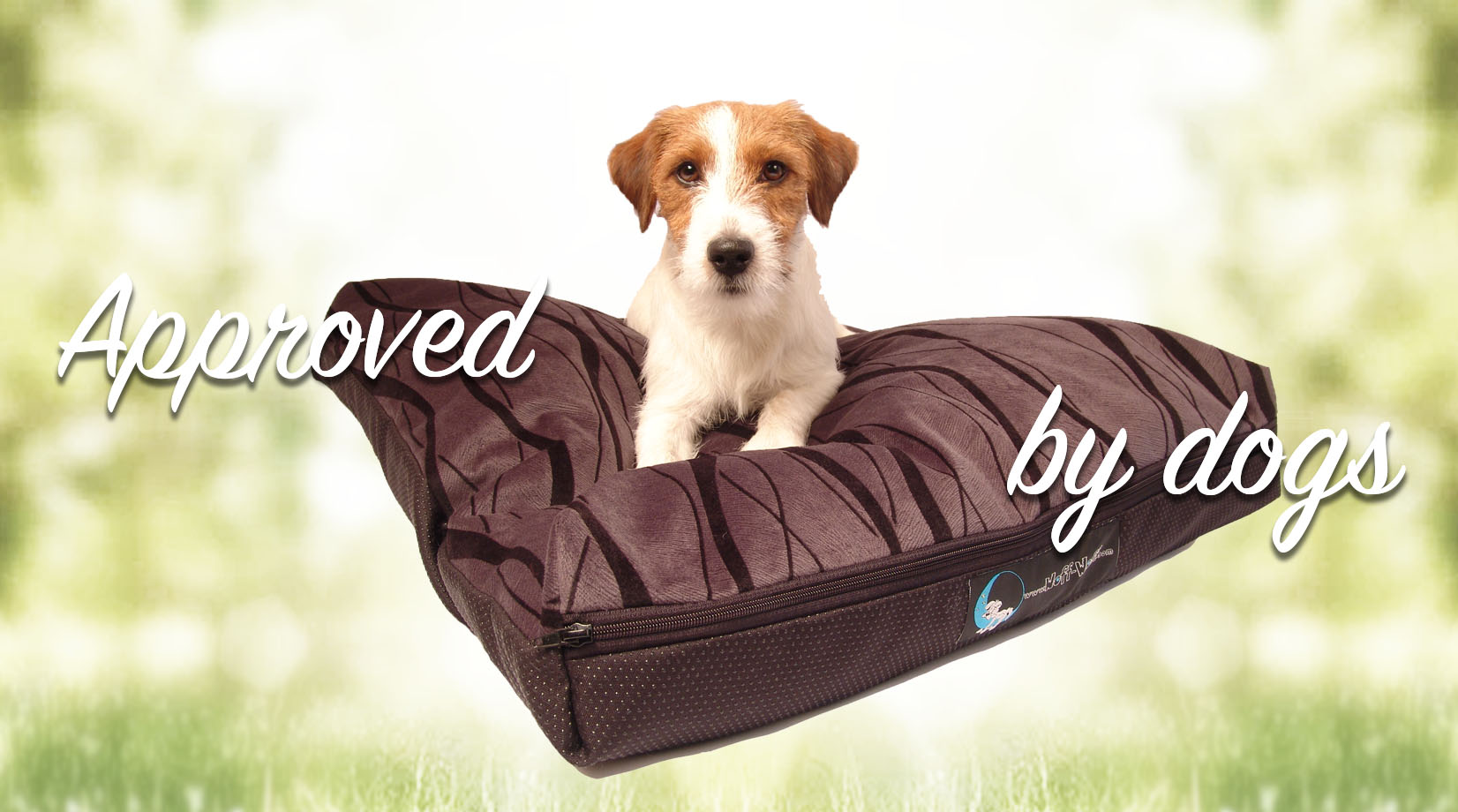 Woff Woff 🐶 Tvornica psećih snova Najbolji hotel za pse